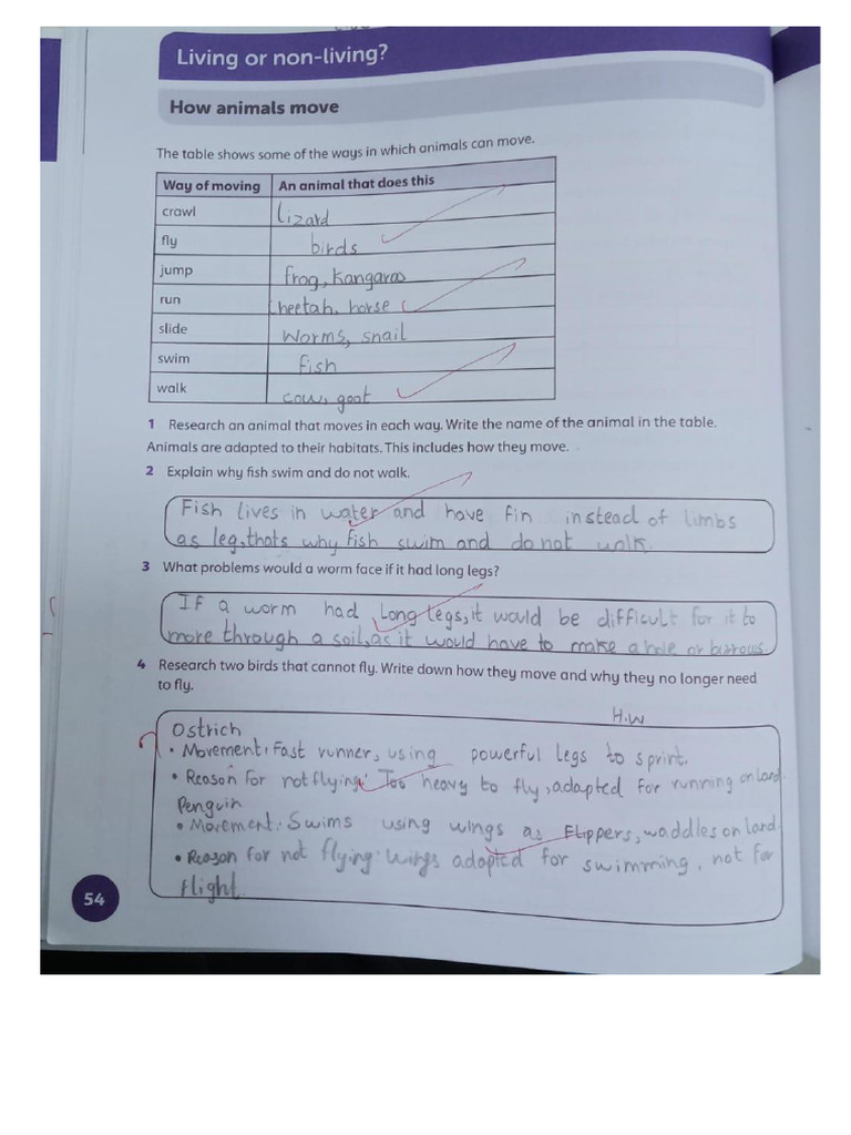 Workbook Pages Grade 5 Final Term | PDF