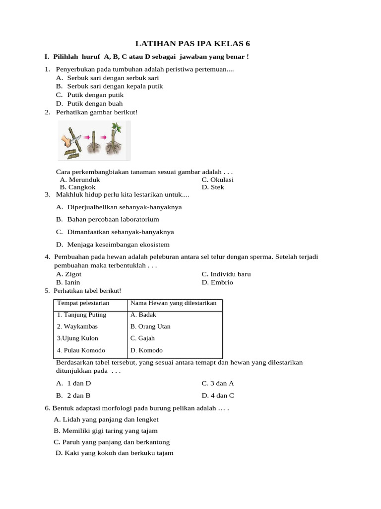 Latihan Pas Ipa Kelas 6 | PDF