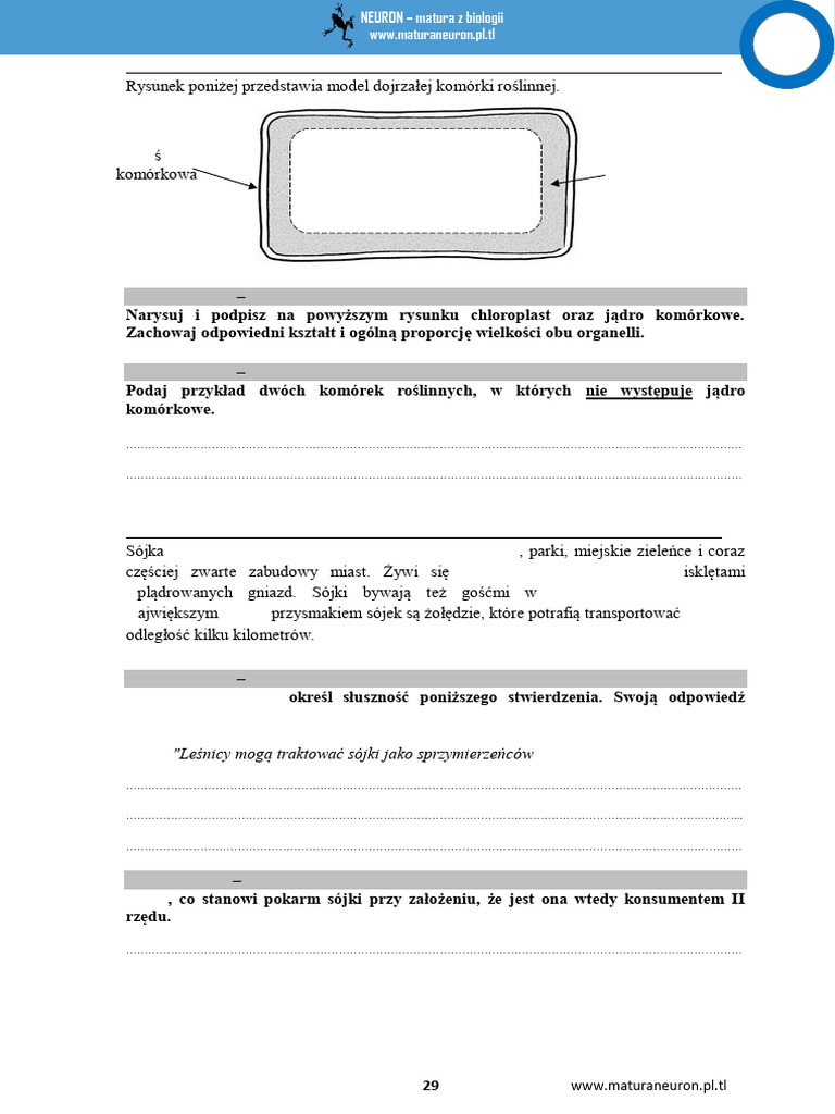 Neuron - Arkusz 14 (Kolo) | PDF