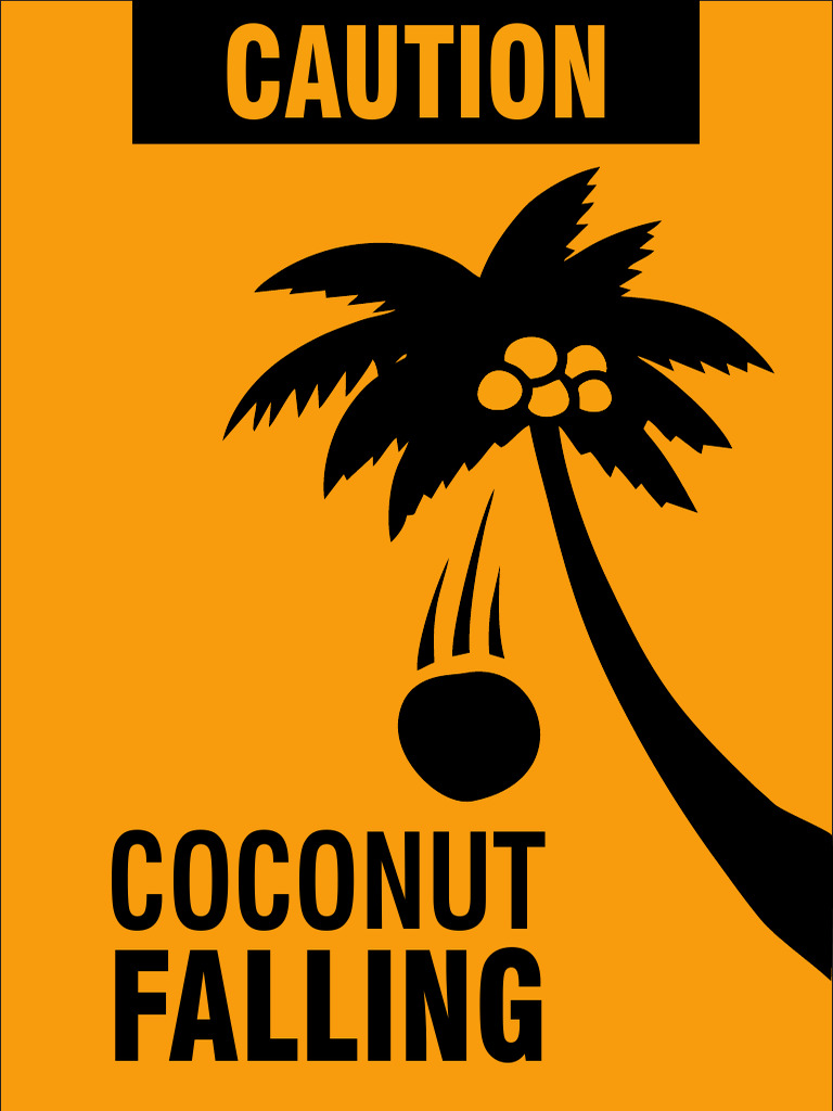 Caution: Falling Coconut Hazards | PDF