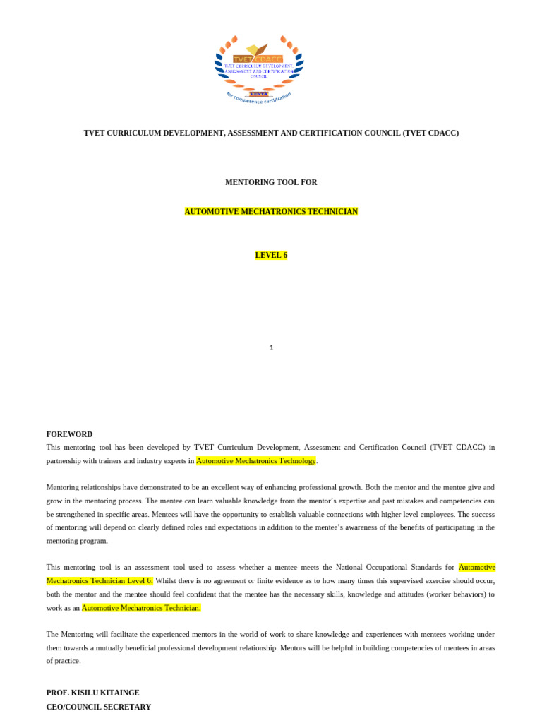 Mentoring Tool Template | PDF | Mentorship | Vehicles