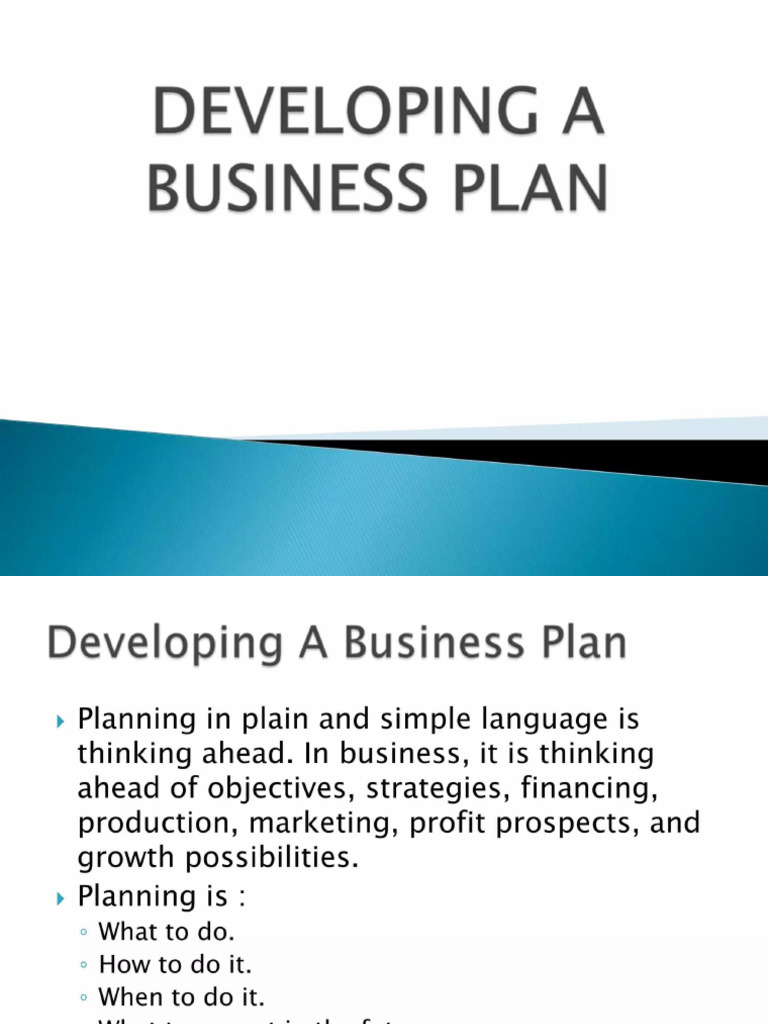 Group 3 Developing Business Plan | PDF