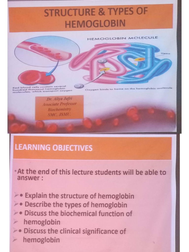 Structure and types of hemoglobin | PDF