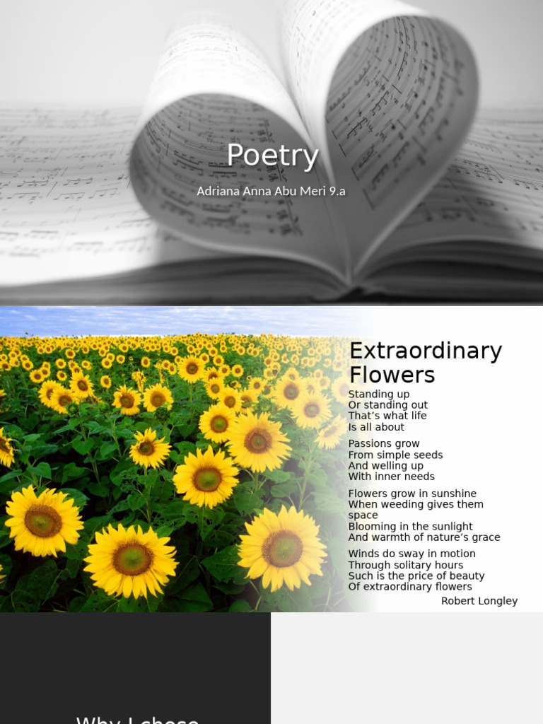 Adriana Anna Abu Meri's Poetic Reflection | PDF