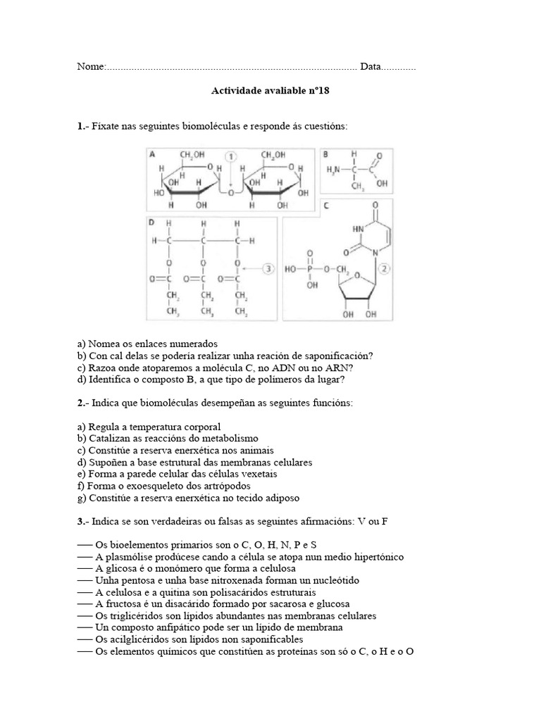 Actividad evaluable 18 | PDF