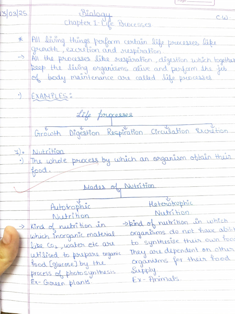Bio Life Processes | PDF