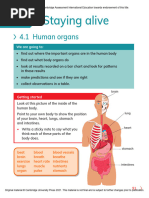 Acute Respiratory Failure Concept Map | PDF | Lung | Respiratory System