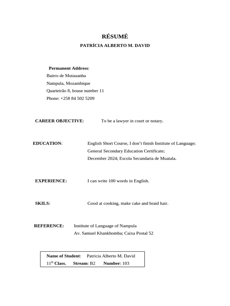 Resume (Patrícia) | PDF