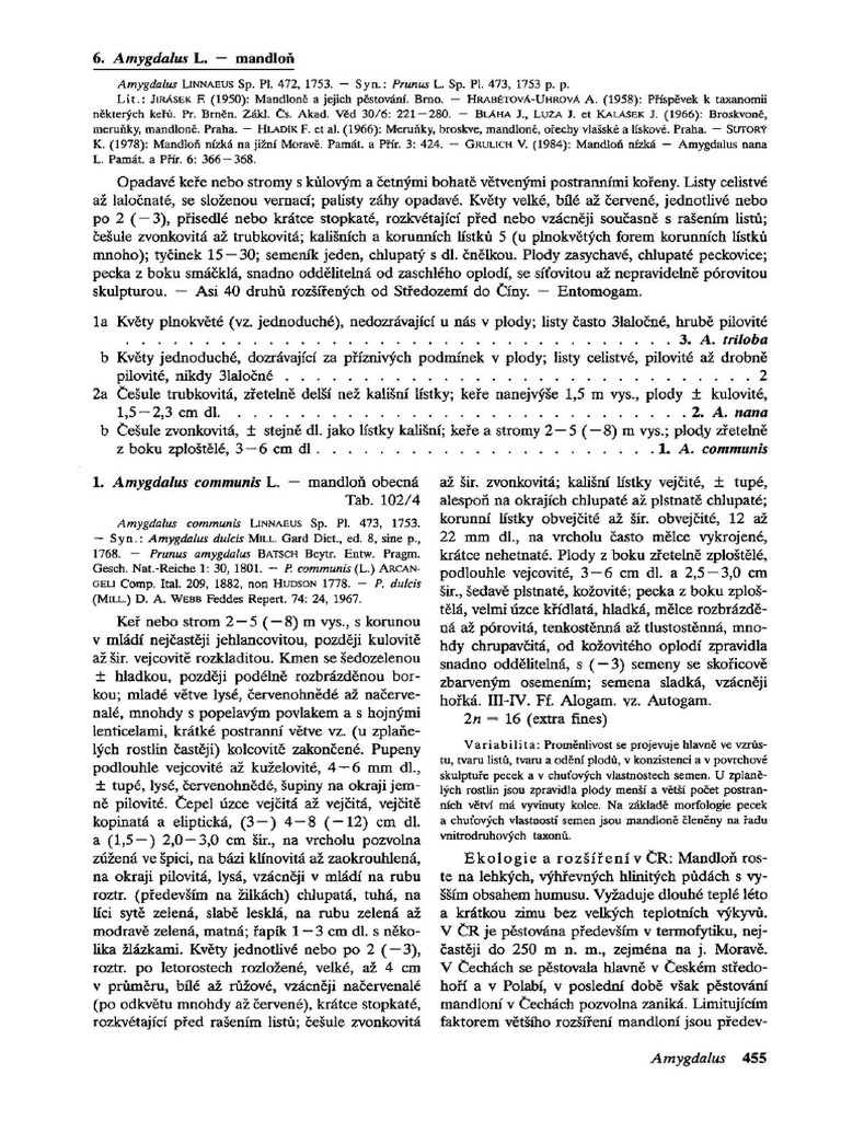 Amygdalus | PDF