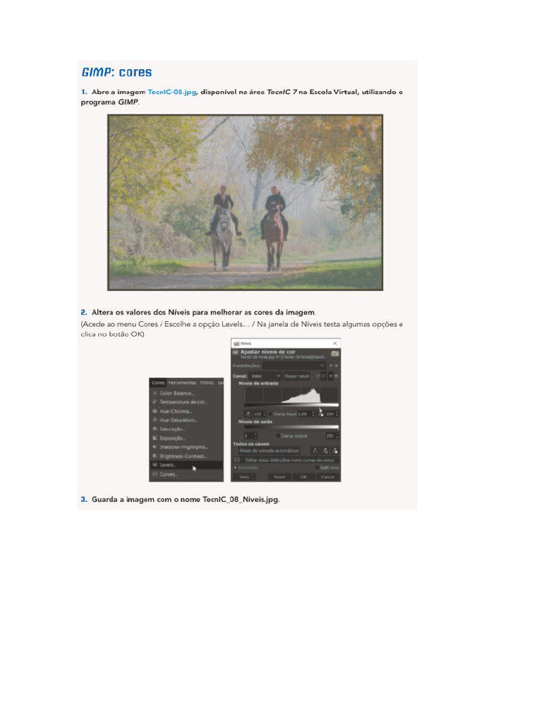Atividade 3 - Gimp | PDF
