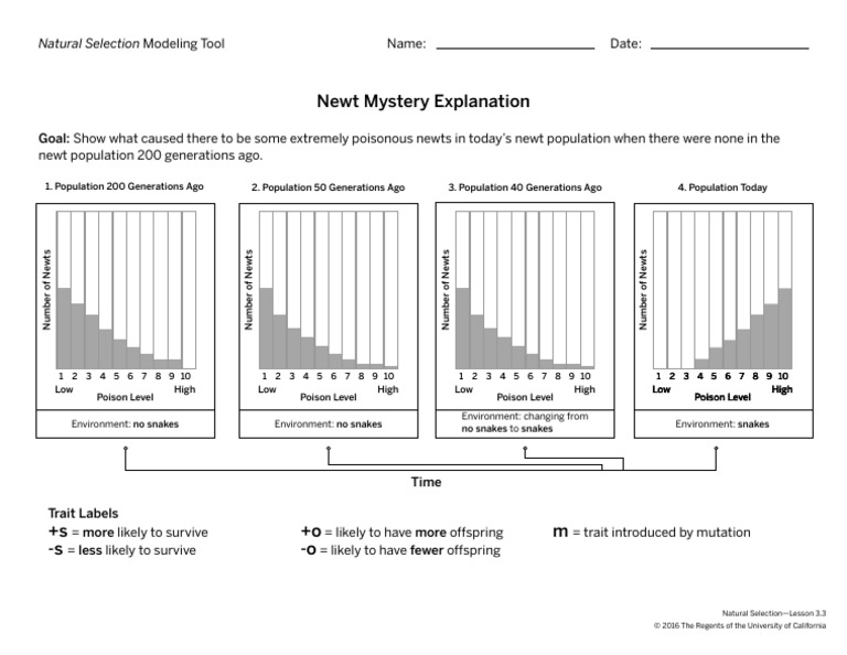 NS 3-3 Modeling Tool Newt Mystery Explanation | PDF | Natural Selection ...