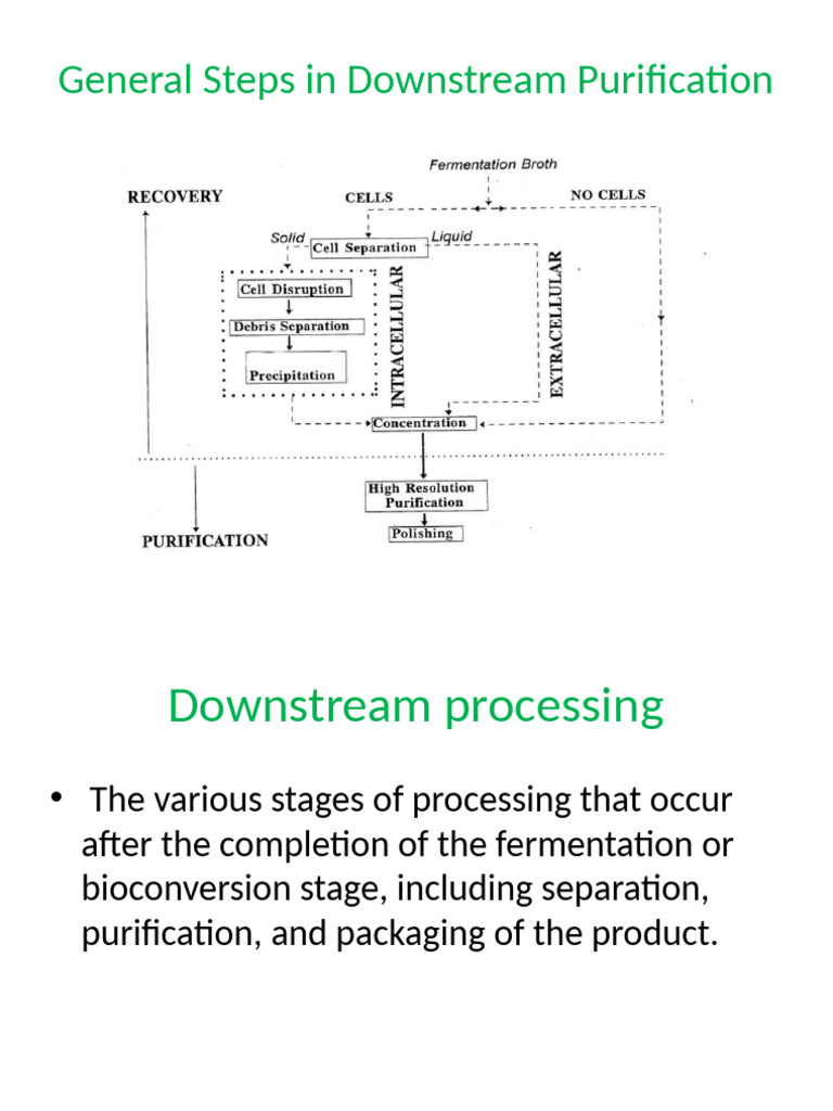 Downstream Purification Process Steps | PDF | Chromatography | Ion