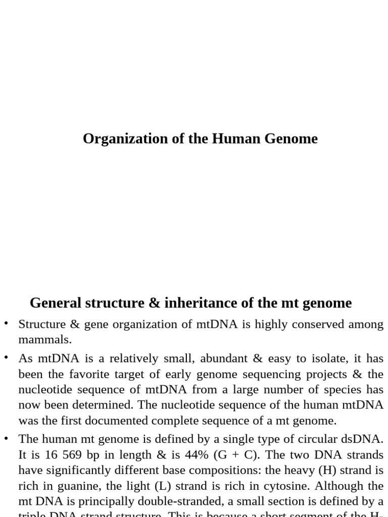 Mitochondrial Genome | PDF | Mitochondrial Dna | Genetic Code