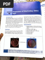 Coliform Detection Using EMB Agar | PDF | Prokaryote | Bacteria