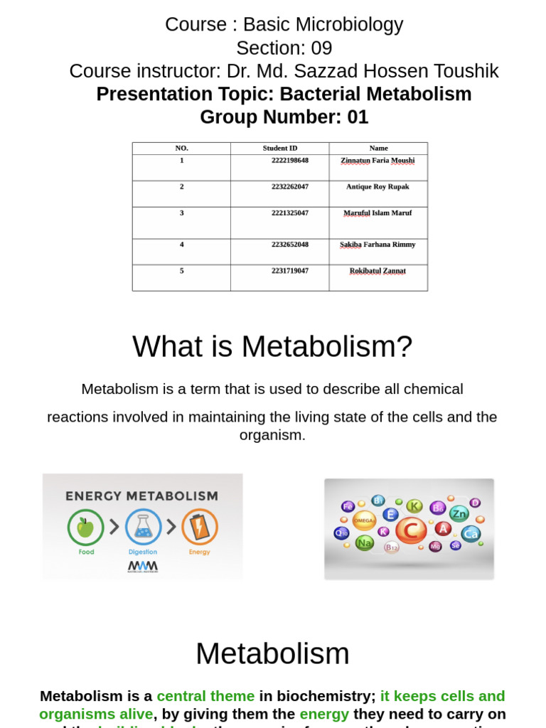 Overview Of Bacterial Metabolism Pdf Glycolysis Cellular Respiration