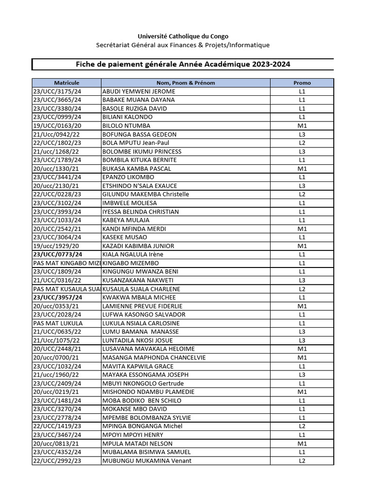 Audit Fsi 2023-2024 | PDF