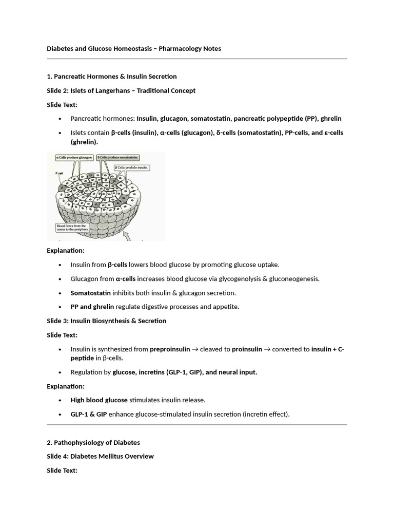 Diabetes and Glucose Homeostasis | PDF | Insulin | Pancreas