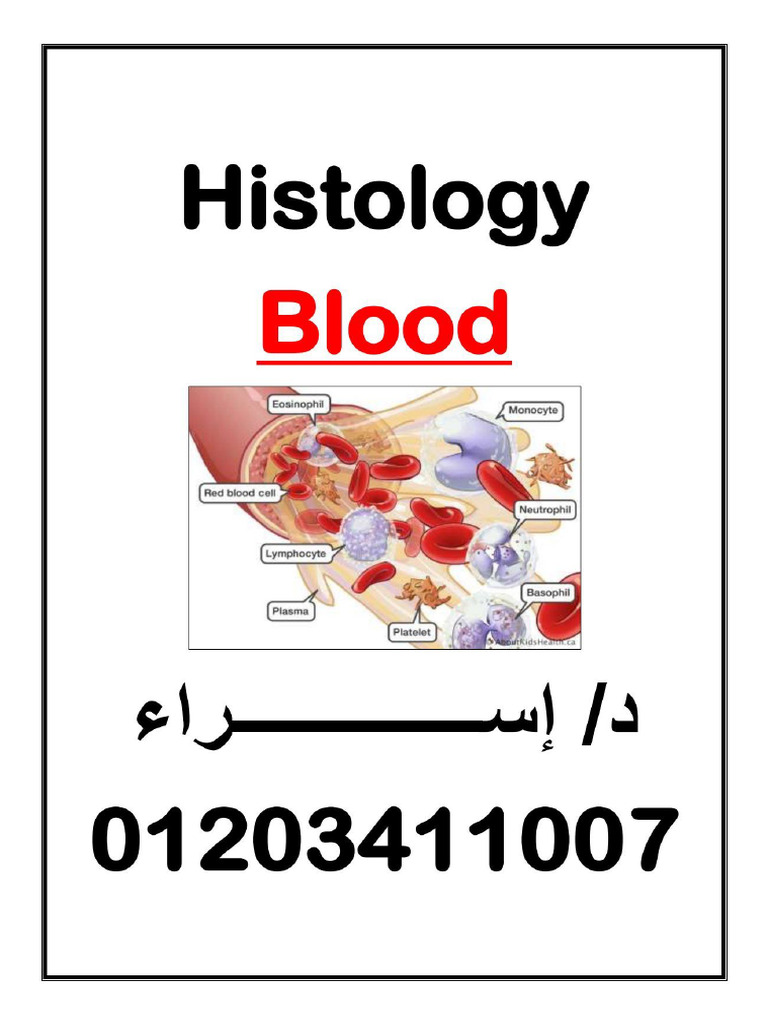 Blood Final 2024 | PDF