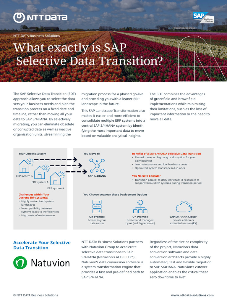 SAP S4HANA Selective Data Transition | PDF | Enterprise Resource ...