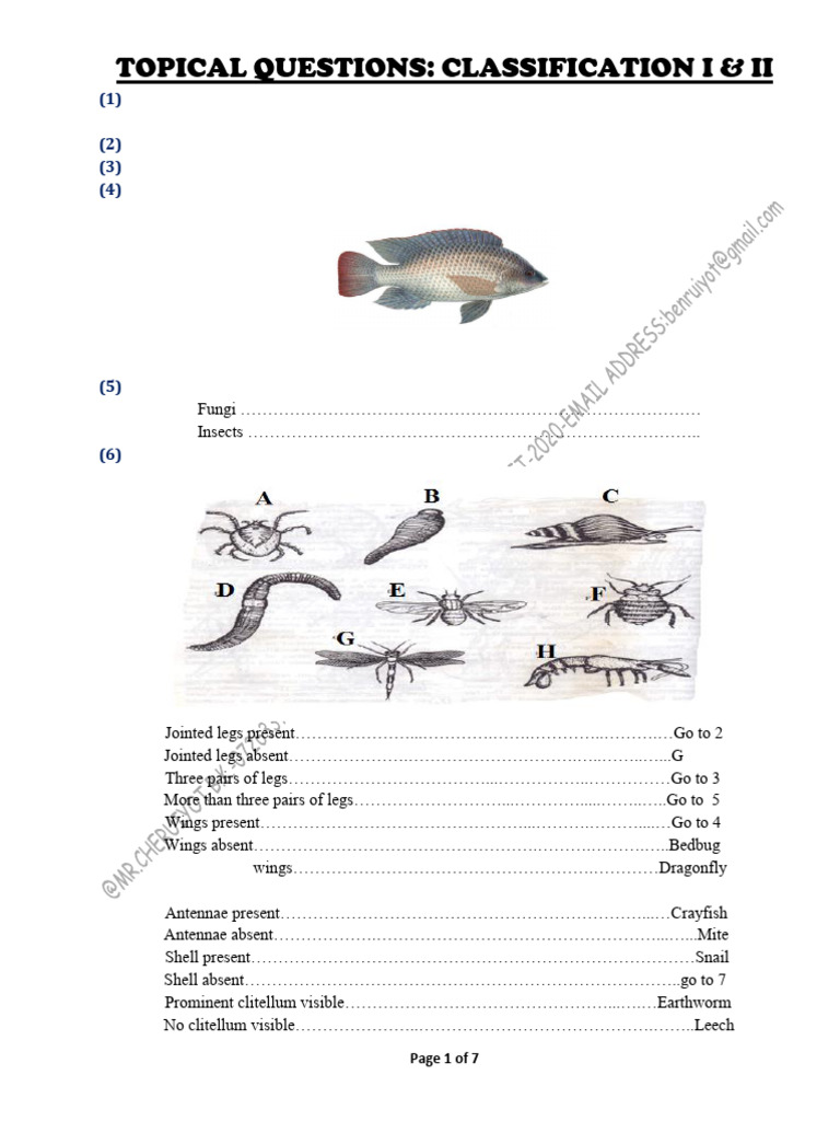 Classification of Living Organisms Q&A | PDF | Cell (Biology) | Fungus