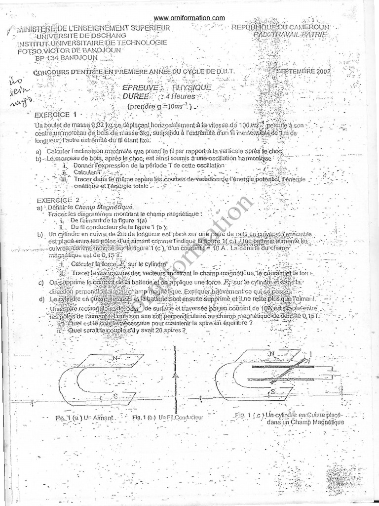 IUT Bandjoun General 2002 | PDF