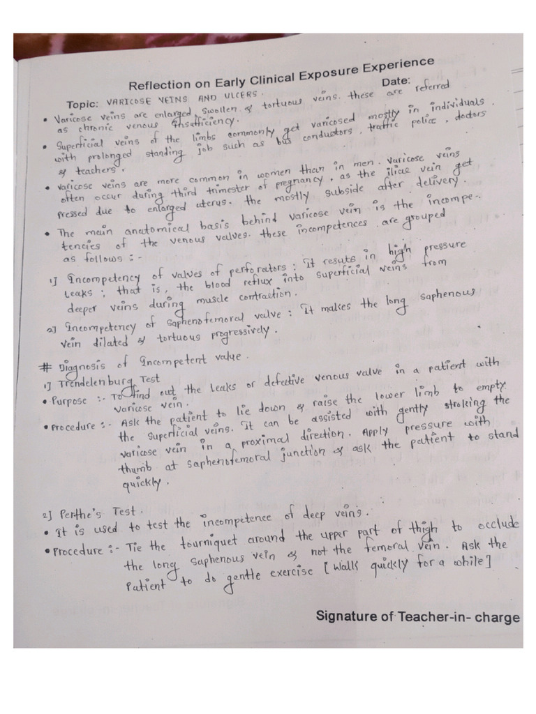 Clinical Exposure Anatomy Log Book | PDF
