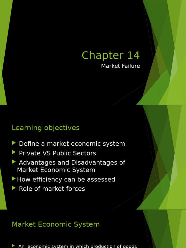 Chapter 13 Market Economic System | PDF
