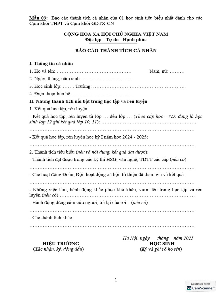 2025-Mau bao cao thanh tich du Le tuyen | PDF