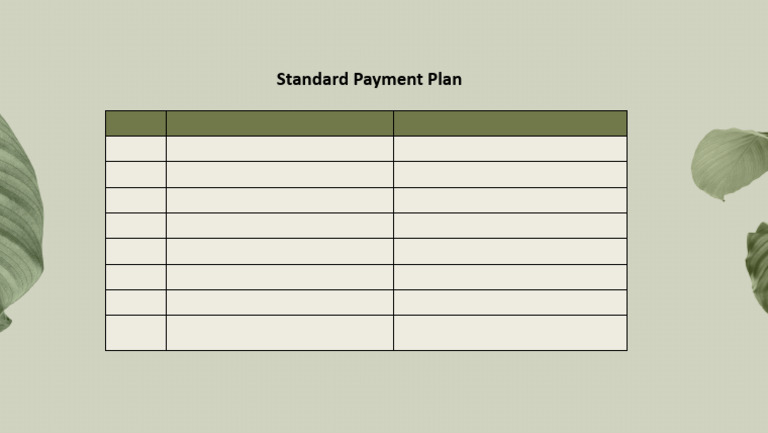Payment Plan | PDF