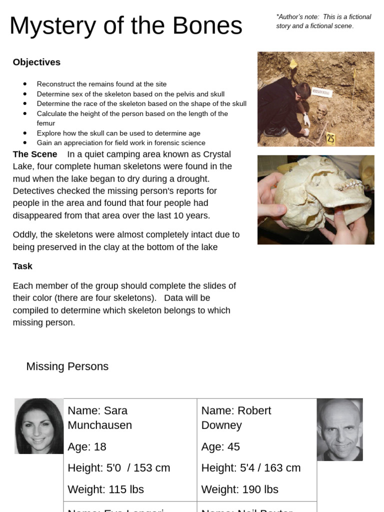 Mystery of The Bones | PDF | Skull | Pelvis