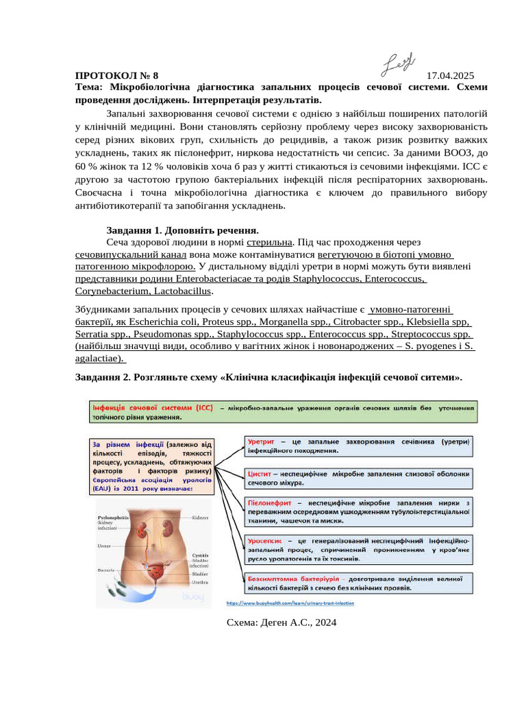 ПРОТОКОЛ 8 | PDF