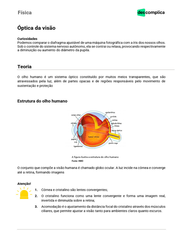 Estrutura e Defeitos da Visão Humana | PDF | Miopia | Olho