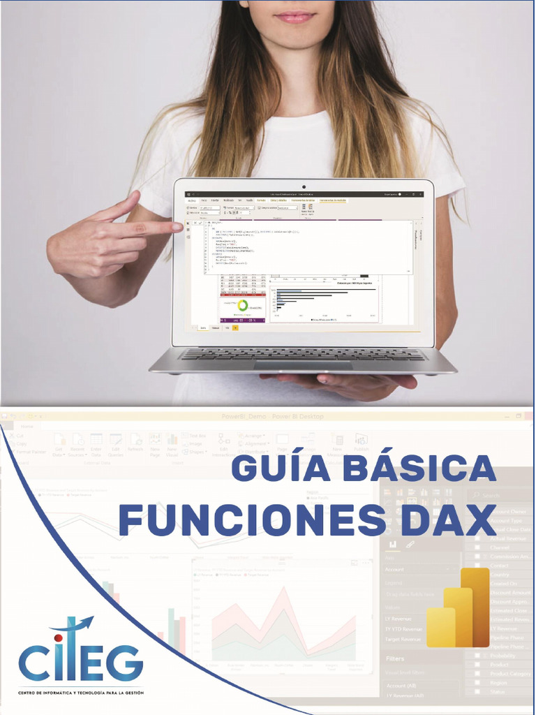 Guia Funciones Básicas DAX | PDF | Microsoft Excel | Función (Matemáticas)