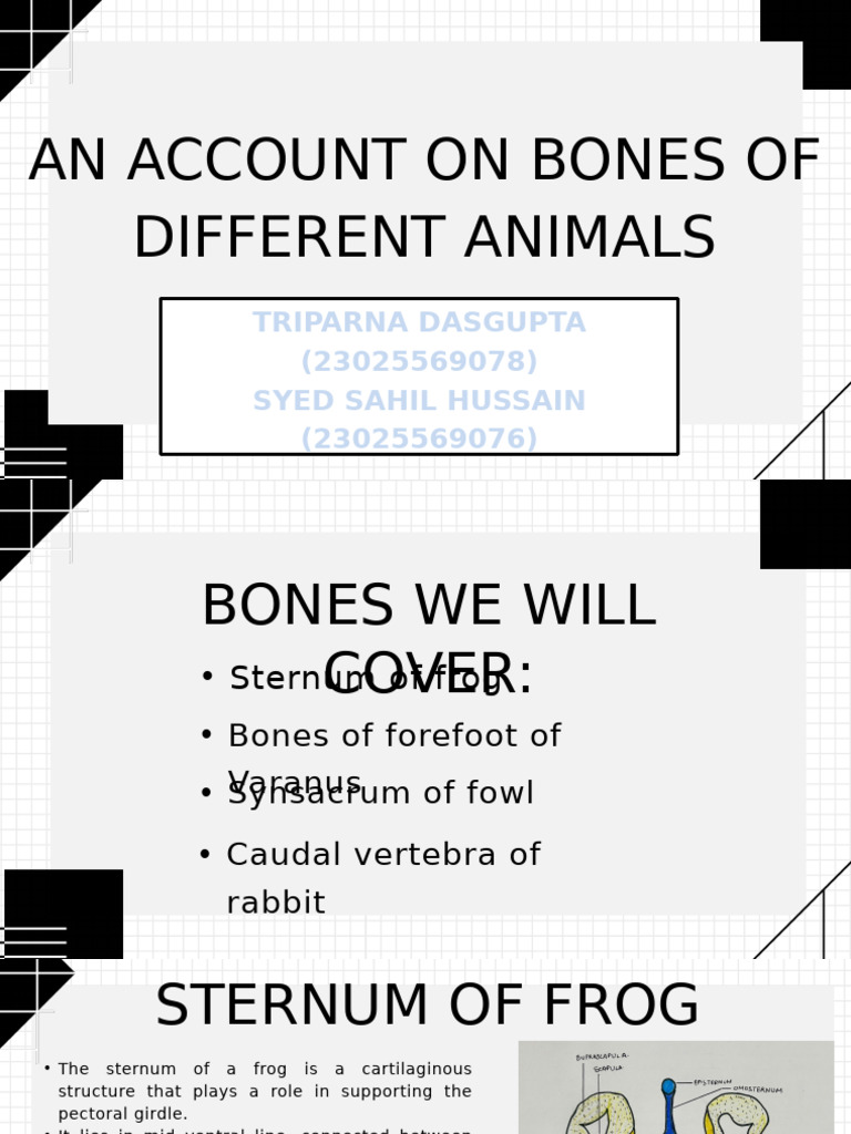 Bones We Will Cover | PDF | Vertebra | Vertebral Column