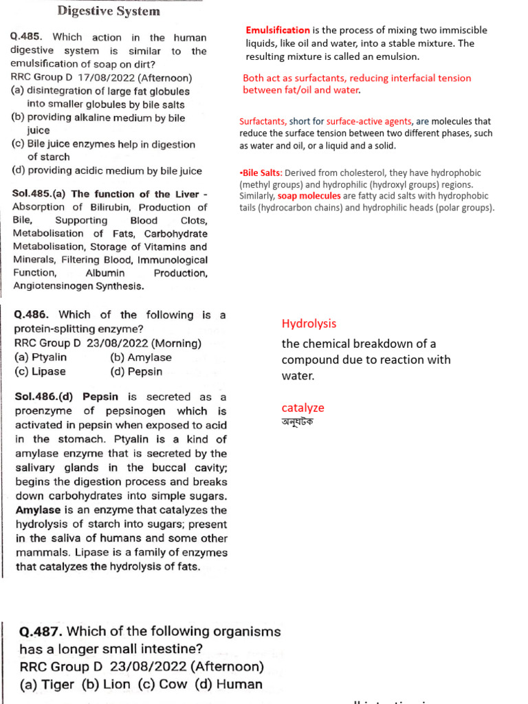 Bio PYQ Digestive-1 | PDF