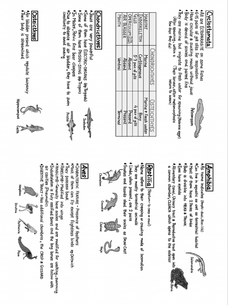 Sample If OS 2025 | PDF