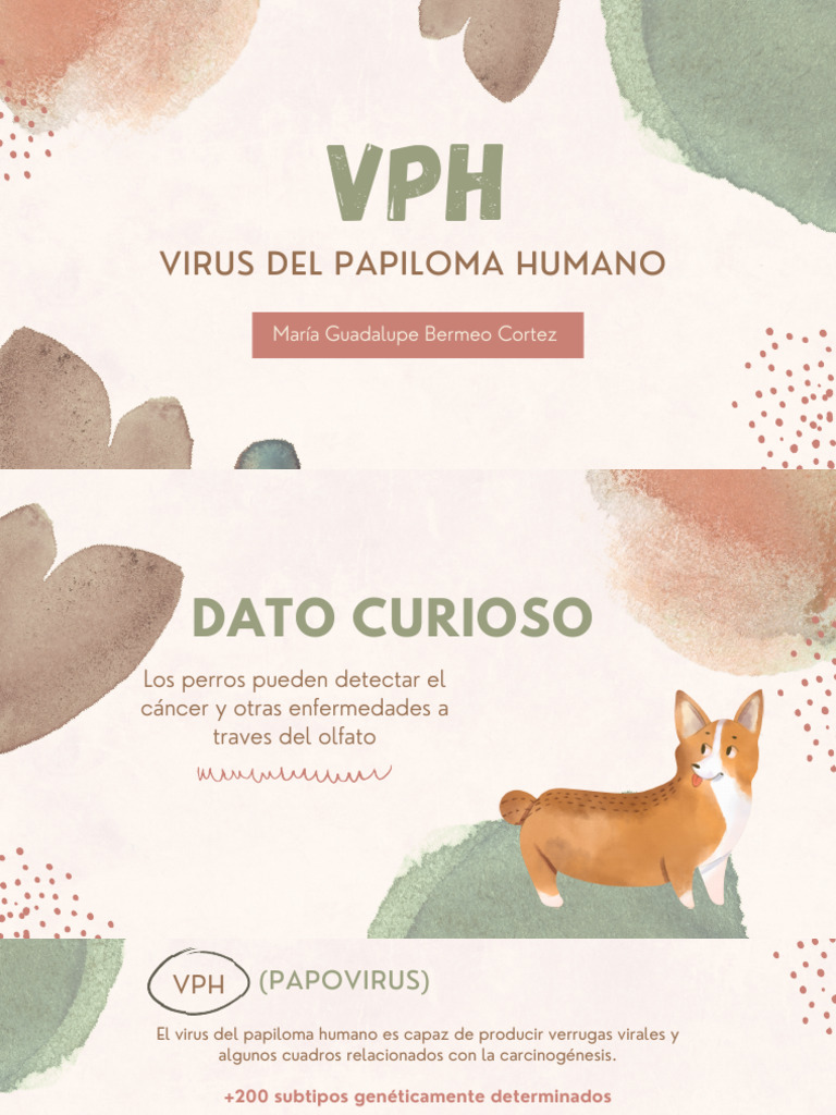 Virus Del Papiloma Humano: María Guadalupe Bermeo Cortez | PDF | Especialidades Medicas ...