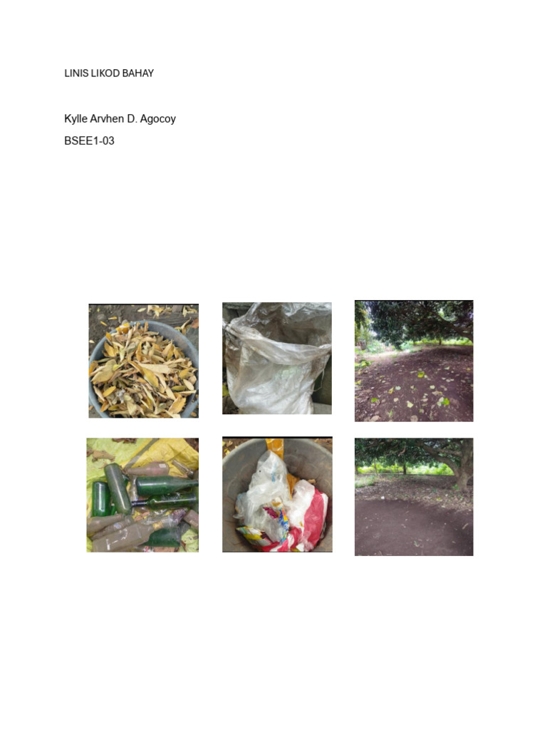 Linis Likod Bahay | PDF