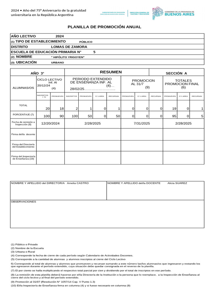 2024-MODELO Planilla Promoción Anual | PDF | Argentina