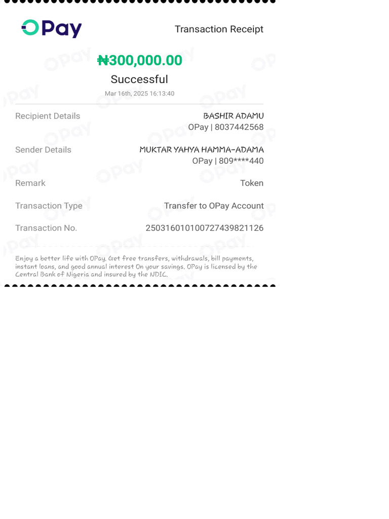 OPay Transfer Receipt: ₦300,000 Successful | PDF