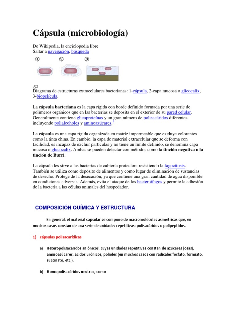 Cápsula | PDF | Las bacterias | Biología Celular)