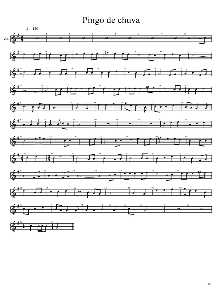 Pingo de Chuva G | PDF