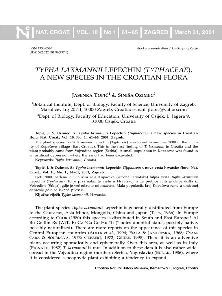 Typha Laxmannii Lepechin Typhaceae a New Species in Croatian 32lcz61vtm ...