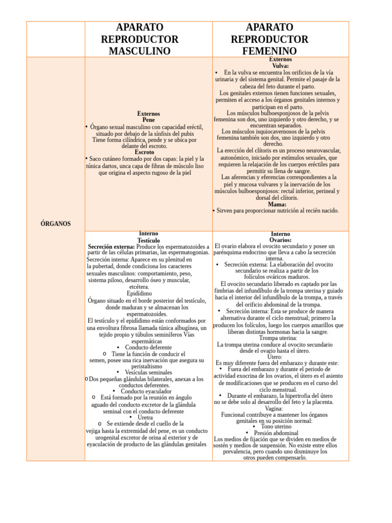 Cuadro Comparativo Aparato Reproductor Masculino y Femenino 2 | PDF | Vagina | Vena