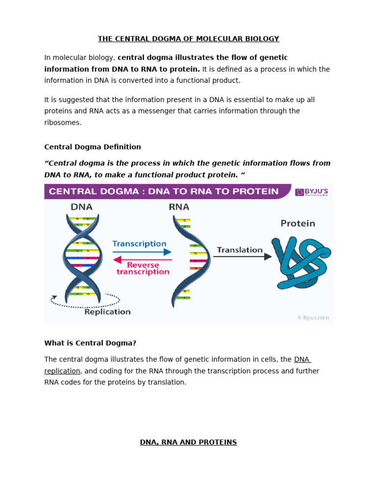 Central Dogma of Molecular Biology Explained | PDF | Dna | Rna
