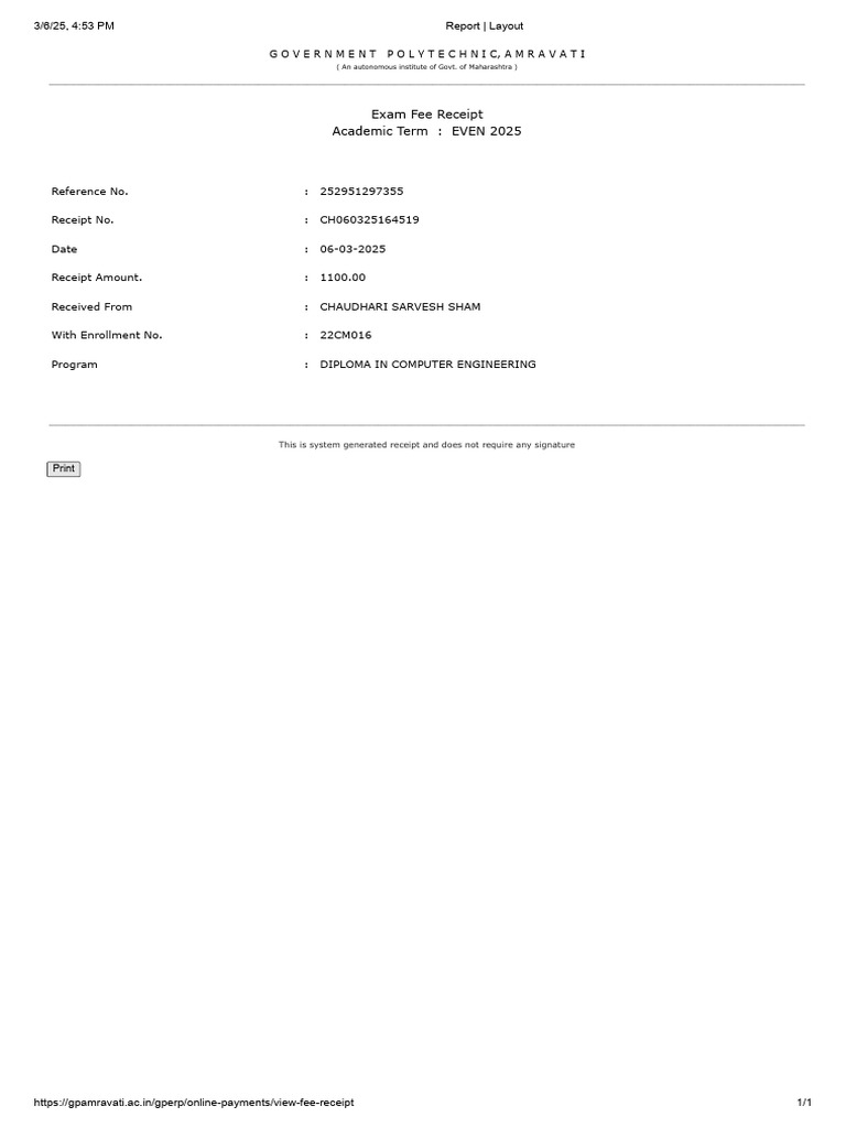 Report - Layout | PDF