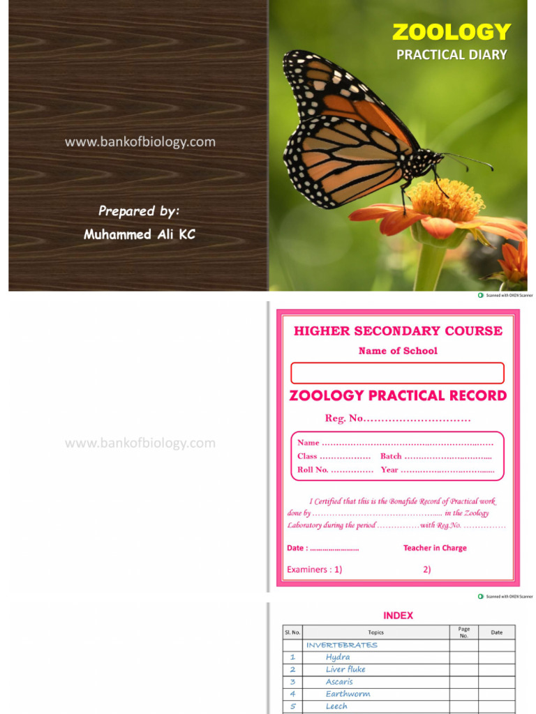 Zoology Practical Record Book - 2024-25 | PDF