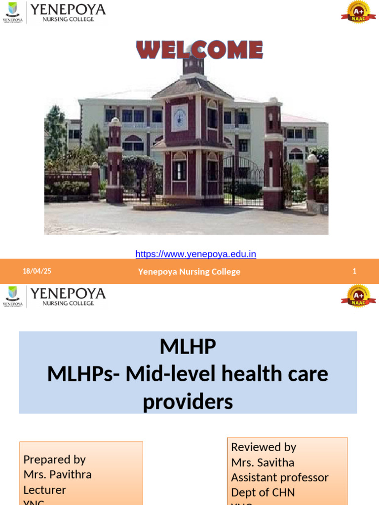 MLHP Role and Responsibilities | PDF | Health Care | Health Professional