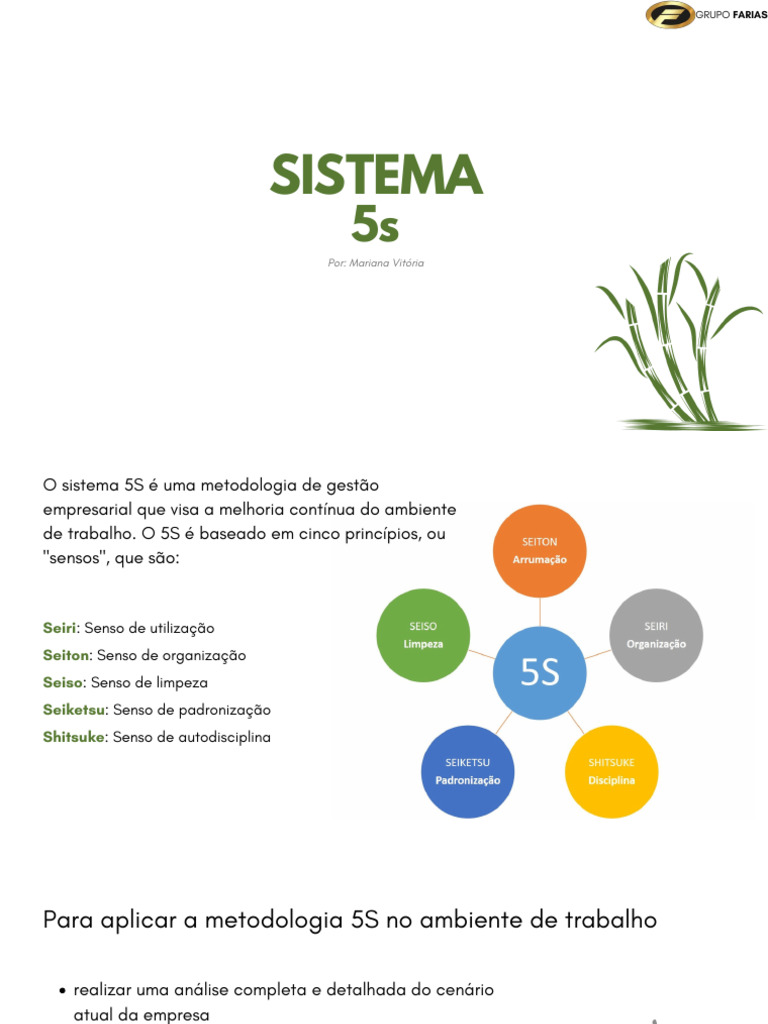 Sistema 5s | PDF