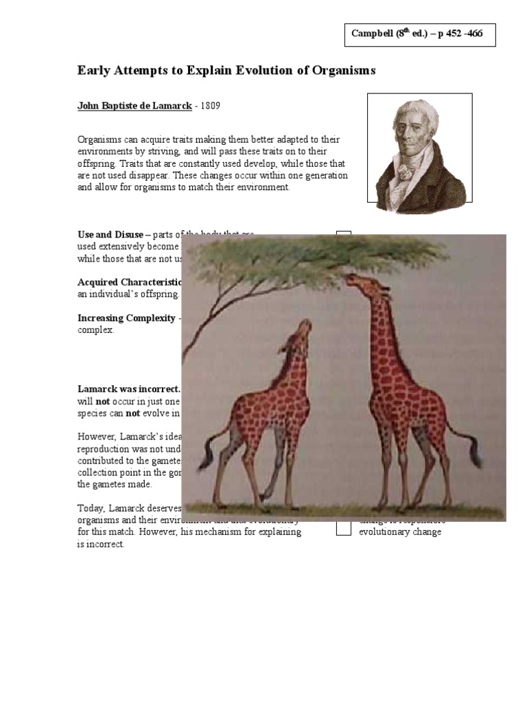 Evolution - Part 1 | PDF | Natural Selection | Evolution